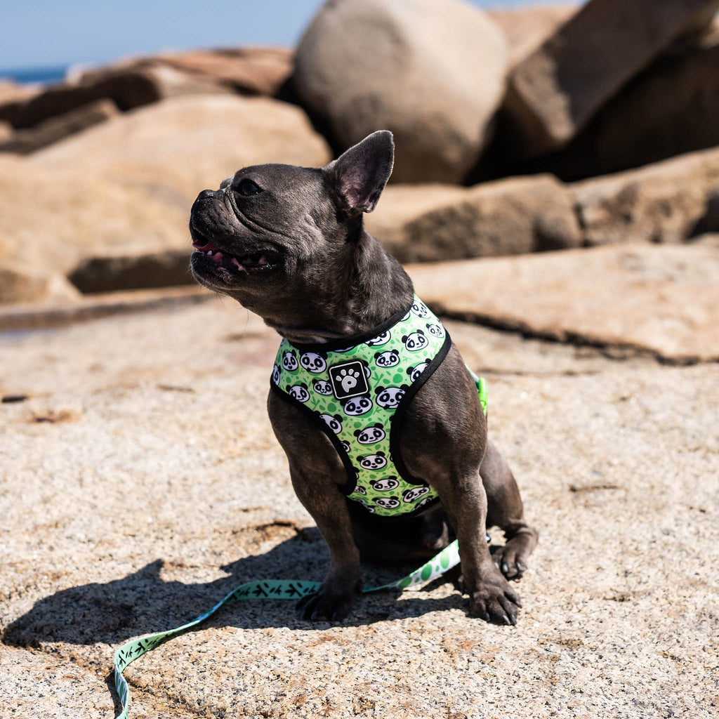 Panda - Reversible Harness – Paws Pound - Designer Dog Gear for French ...
